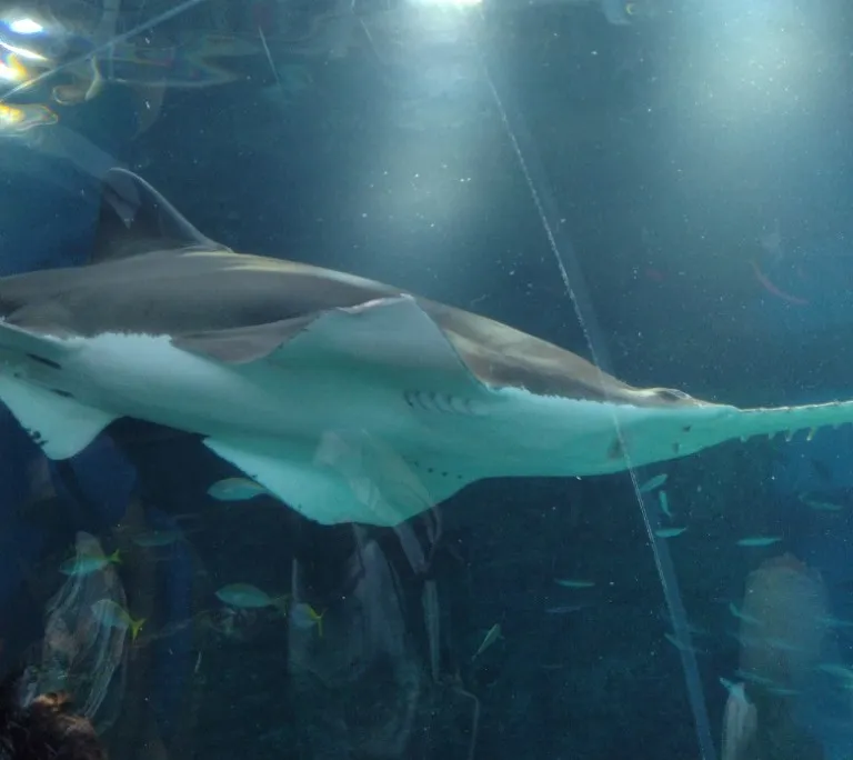 第91話：君の名は。って名ゼリフ多いよね（mobに転生したんじゃないの？『⚙️』）｜無料スマホ夢小説ならプリ小説 byGMO