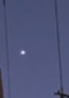 ヒト型SCPはしし座です。 - 全1話 【連載中】（月日菜終/明夜終さんの小説） | 無料スマホ夢小説ならプリ小説 byGMO