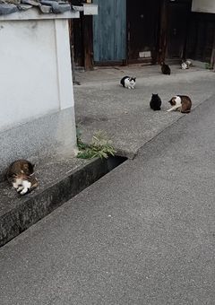 mmmr 風花雪月のR18短編集 - 全177話 【連載中】（みさ座 隼人さんの小説） | 無料スマホ夢小説ならプリ小説 byGMO