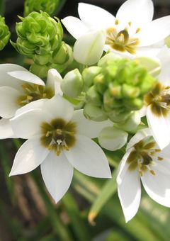 「ブルーロックbl #糸師凛」の小説・夢小説 (4ページ目)｜無料スマホ夢小説ならプリ小説 byGMO