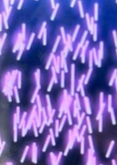 「📢×👑 #irxs」の小説・夢小説｜無料スマホ夢小説ならプリ小説 byGMO