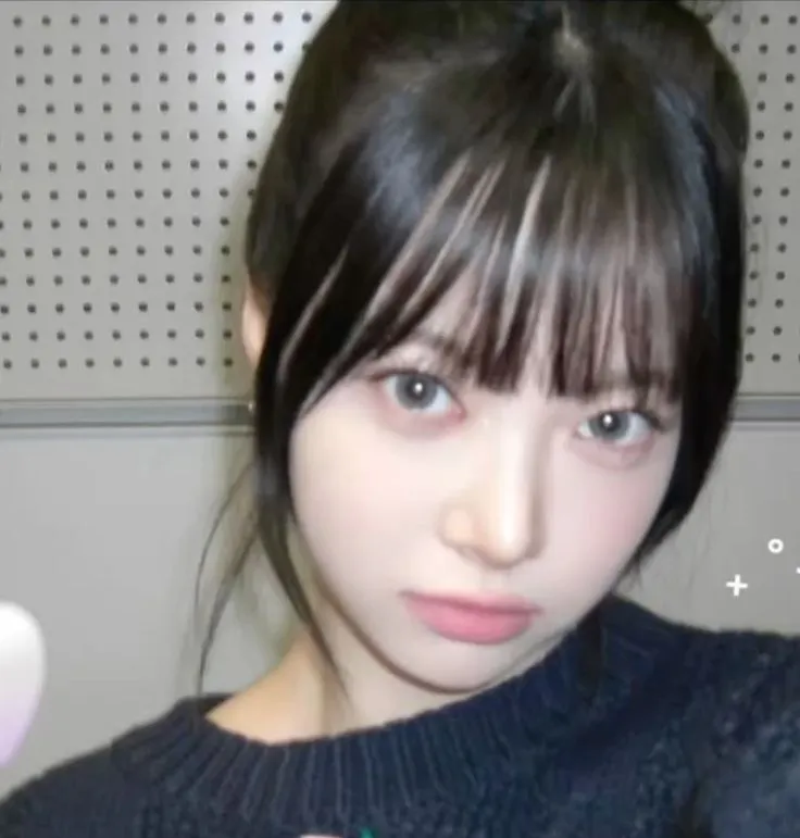 第2話：Wikipedia（SixTONESの紅一点ちゃん）｜無料スマホ夢小説ならプリ小説 byGMO