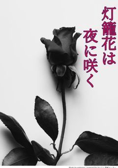 nauru #短編集」の小説・夢小説｜無料スマホ夢小説ならプリ小説 byGMO