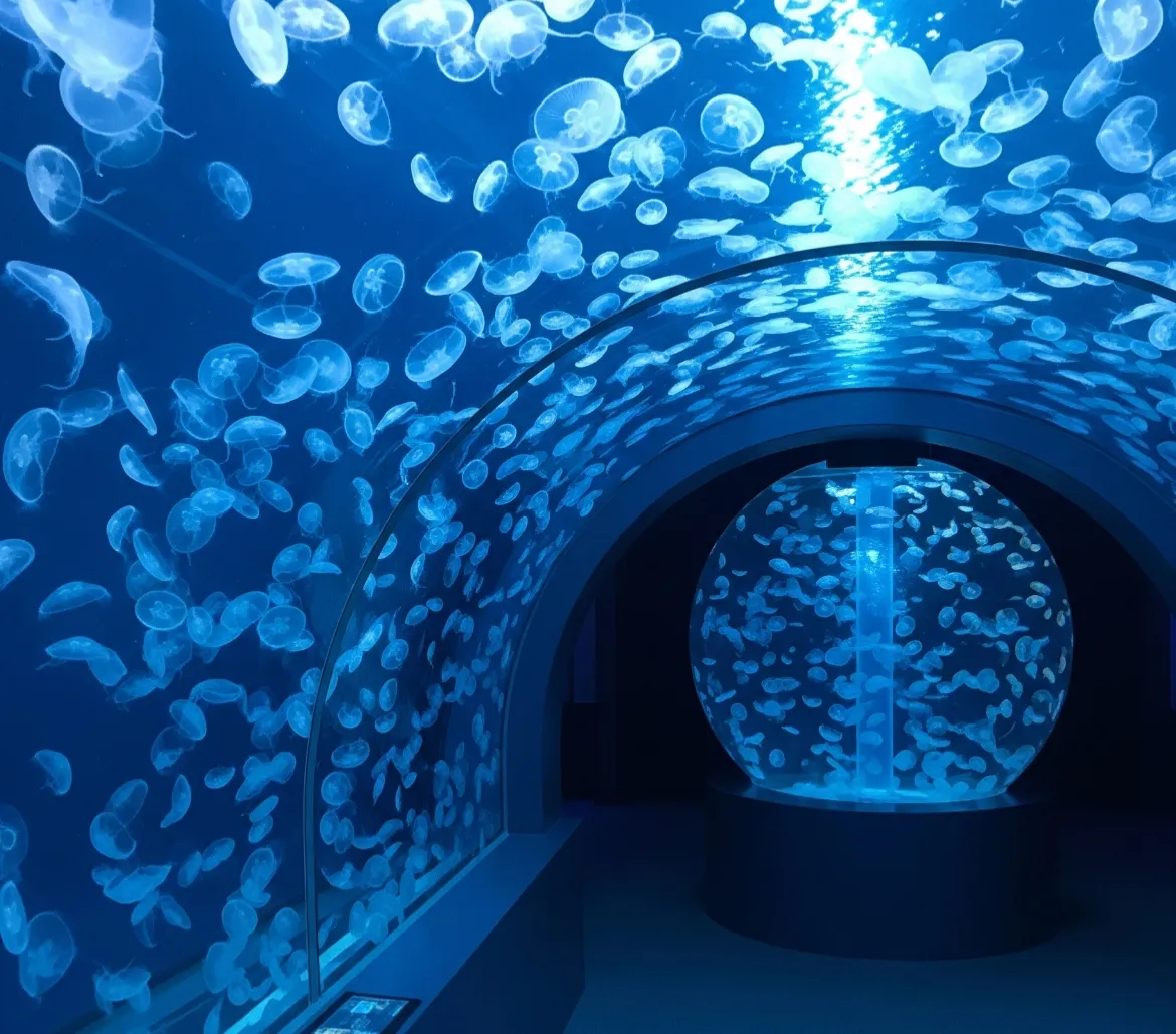 第19話：18話☃️（シェアハウスの恋愛）｜無料スマホ夢小説ならプリ小説 byGMO