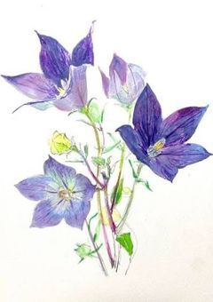 「stgr」の小説・夢小説｜無料スマホ夢小説ならプリ小説 byGMO