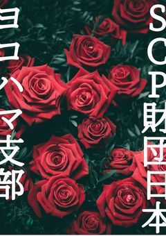 「scp+jp」の小説・夢小説｜無料スマホ夢小説ならプリ小説 byGMO