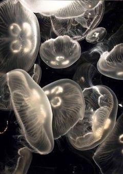 short memory. - 全11話 【連載中】（ru1さんの夢小説） | 無料スマホ夢小説ならプリ小説 byGMO