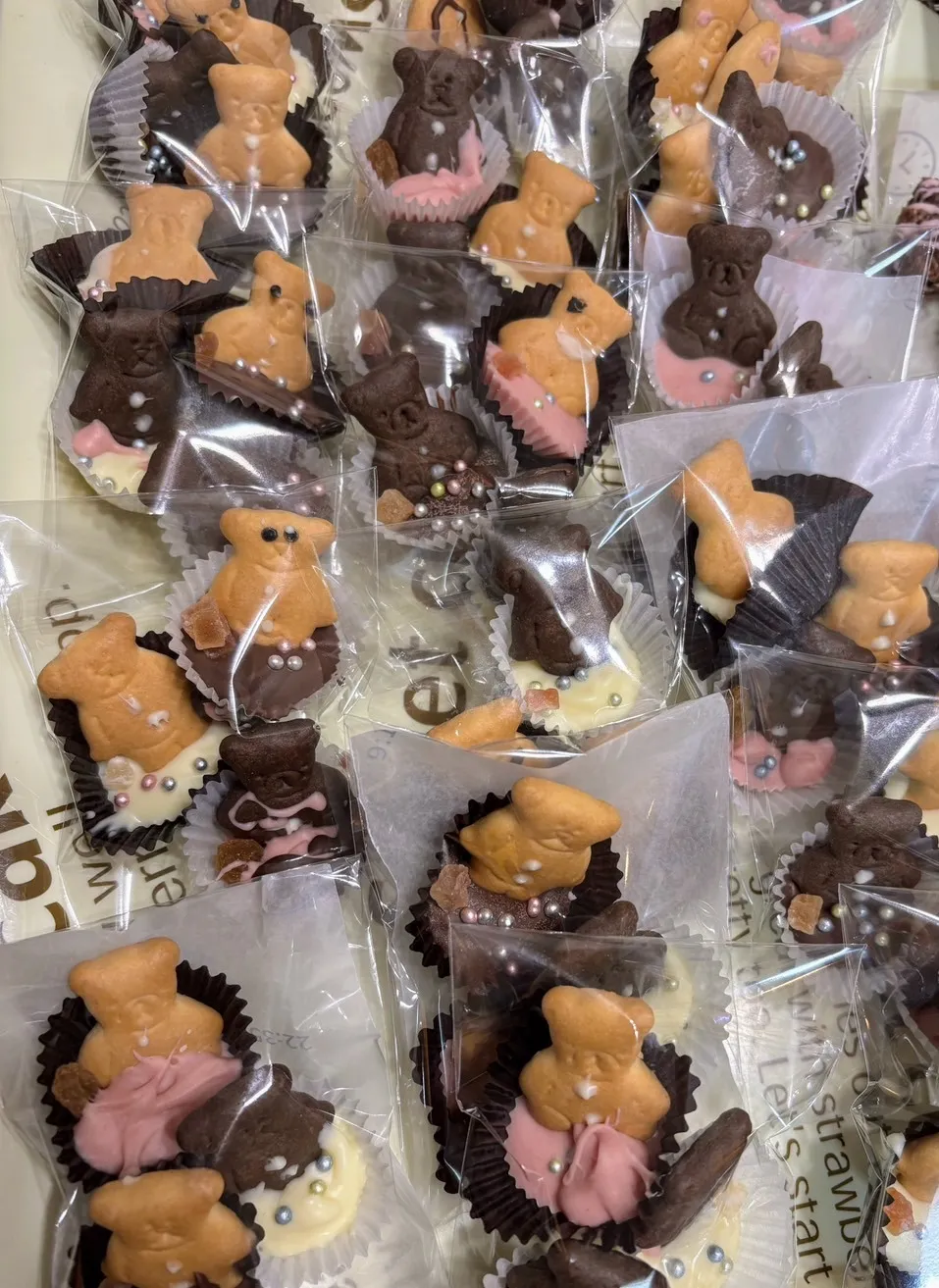 第106話：7日遅れの猫の日((((（v0scメンバー達、メンカラ毎に兄弟でした。）｜無料スマホ夢小説ならプリ小説 byGMO