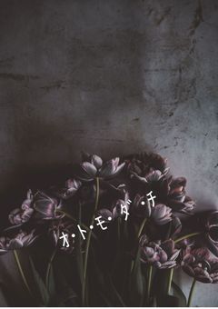 無料スマホ小説ならプリ小説 byGMO - 会話で楽しむストーリー