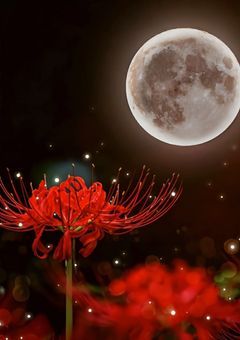 「ホークアイズ瑠衣 #スワロウテイル」の小説・夢小説 (2ページ目)｜無料スマホ夢小説ならプリ小説 byGMO