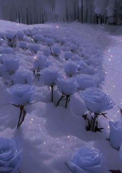 &Teamと体調不良の彼女♡ - 全2話 【連載中】（mirepyon629さんの小説） | 無料スマホ夢小説ならプリ小説 byGMO