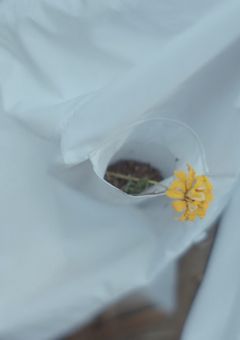 「陸はね #BL」の小説・夢小説｜無料スマホ夢小説ならプリ小説 byGMO