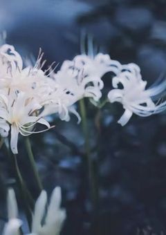 「いんな^ #kmt」の小説・夢小説｜無料スマホ夢小説ならプリ小説 byGMO