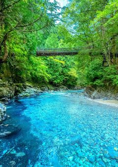 ハッピーエンド #nmmn」の小説・夢小説｜無料スマホ夢小説ならプリ小説 byGMO