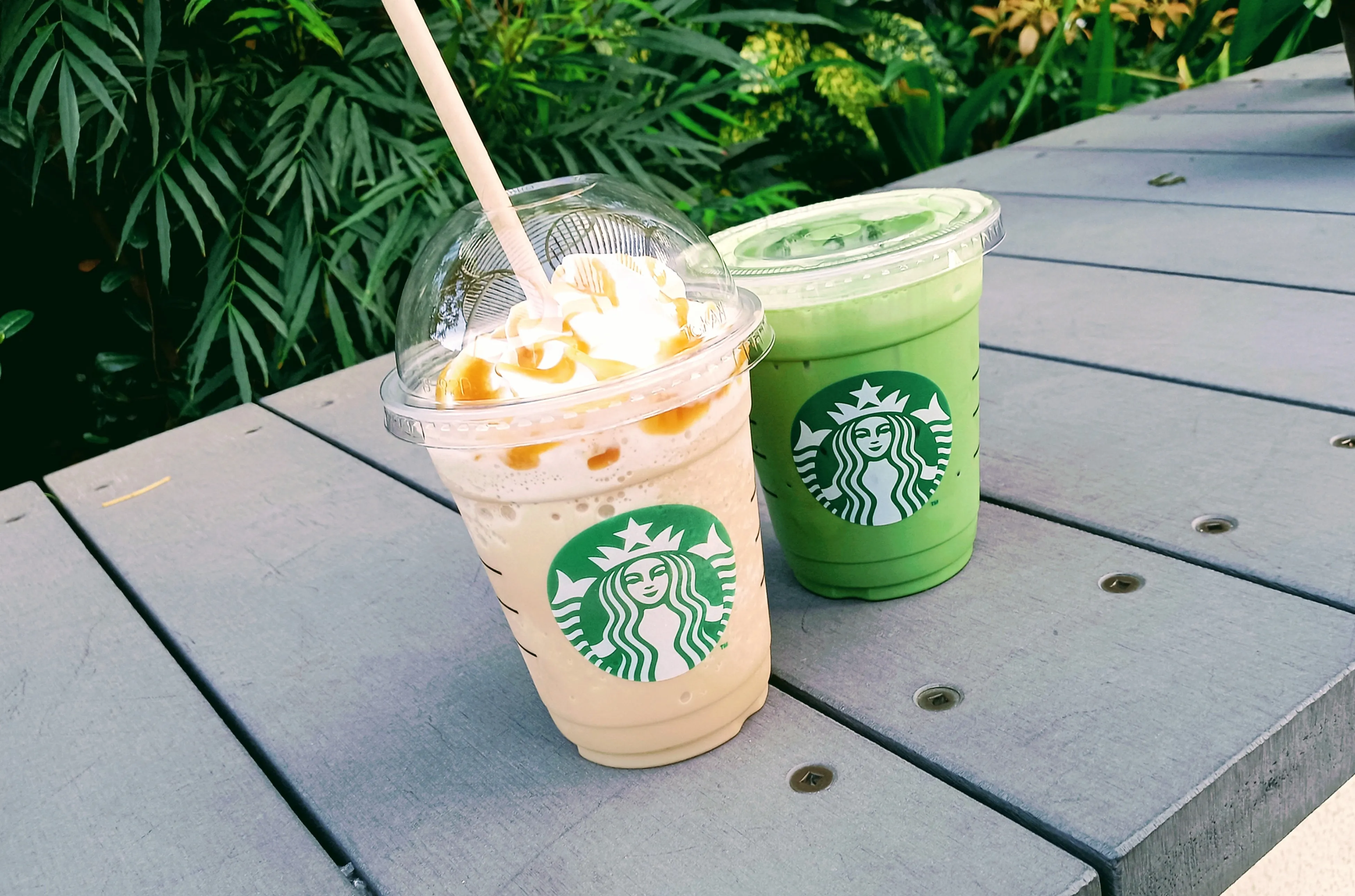 第4話：女子会♡inイタリア（再従兄弟に愛されてますAnother）｜無料スマホ夢小説ならプリ小説 byGMO