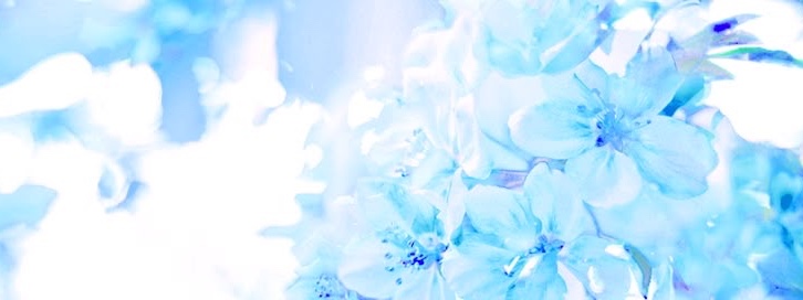 華条 のりかさんのプロフィール[3af00] | 無料スマホ夢小説ならプリ小説 byGMO